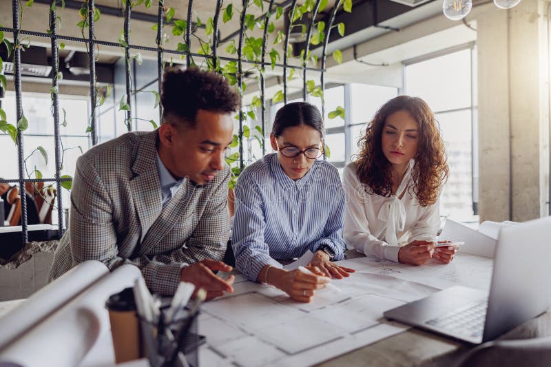 Collaborative Workspace Featuring a Team Engaging in Comprehensive ...