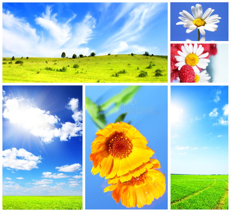 Spring collage stock photo. Image of colorful, nature - 19436782
