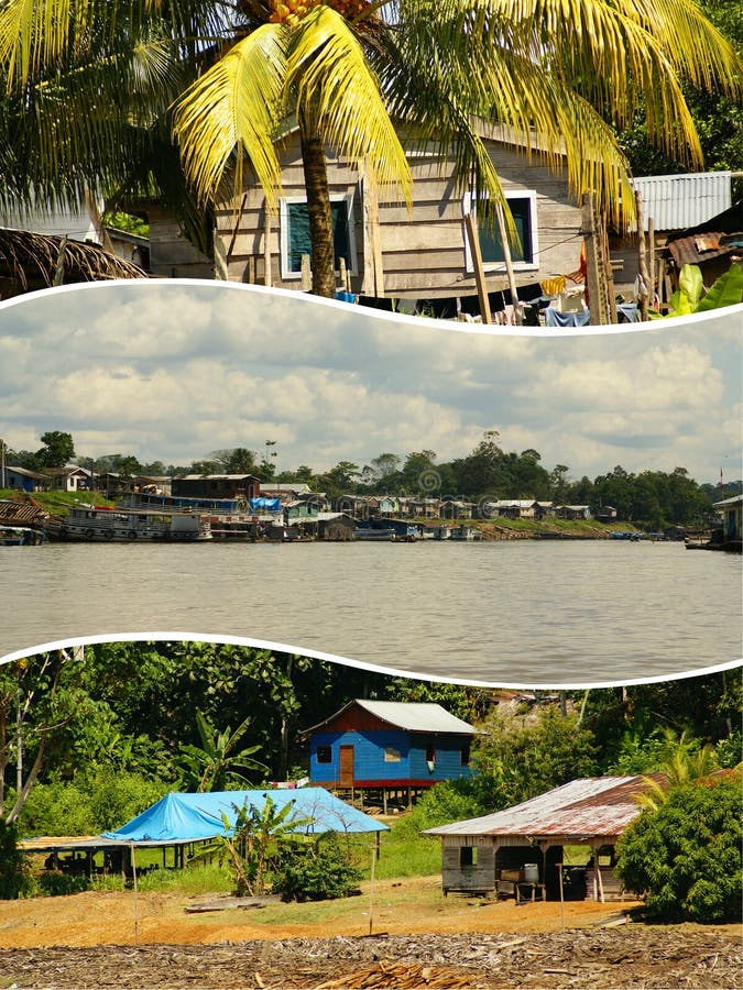 Collage of Amazonia,Peru My Photos Stock Photo - Image of landscape ...