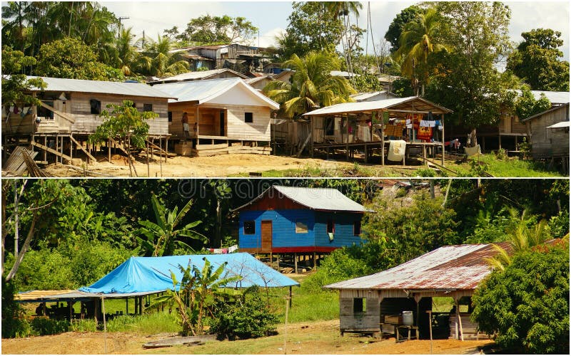 Collage of Amazonia ,Peru My Photos . Stock Image - Image of basin ...