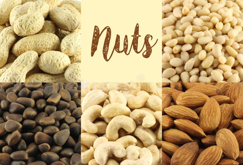Collage of assorted nuts. stock photo. Image of abstraction - 113472064