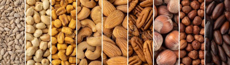 Collage of Assorted Nuts. Assorted Nuts in Panoramic Format Stock Photo ...