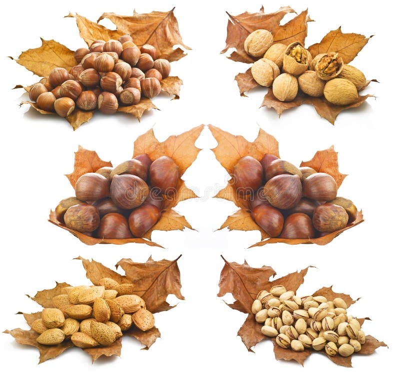 Collage Autumn stock image. Image of diet, chestnuts - 21167299