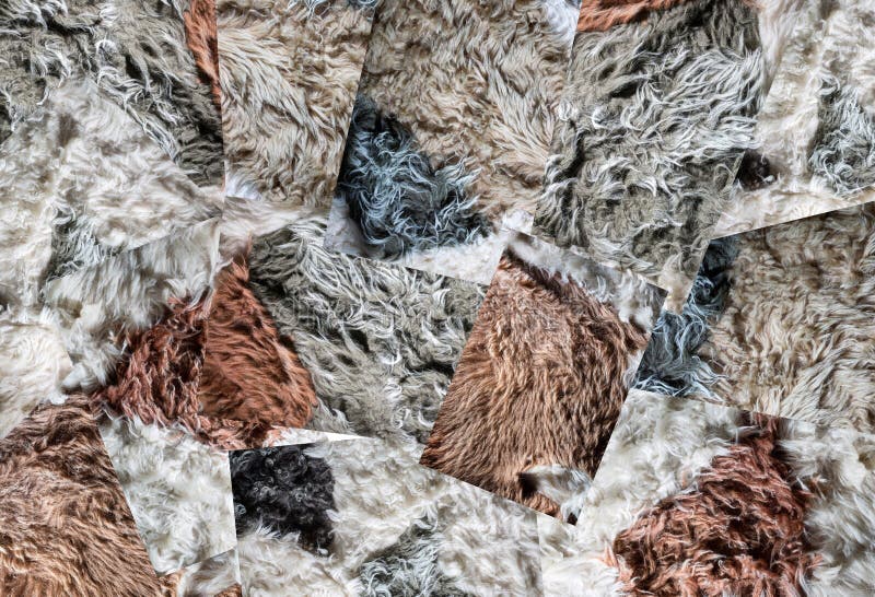 A Collage Of Backgrounds And Textures Of Natural Sheep Wool Stock Photo ...