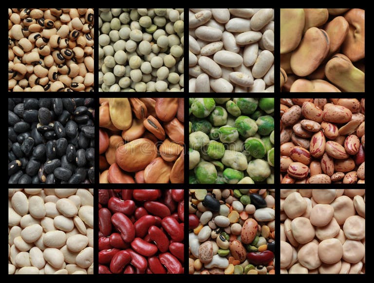387 Collage Various Beans Mix Stock Photos - Free & Royalty-Free Stock ...