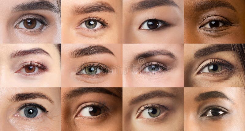 582 Eyebrow Collage Stock Photos - Free & Royalty-Free Stock Photos ...