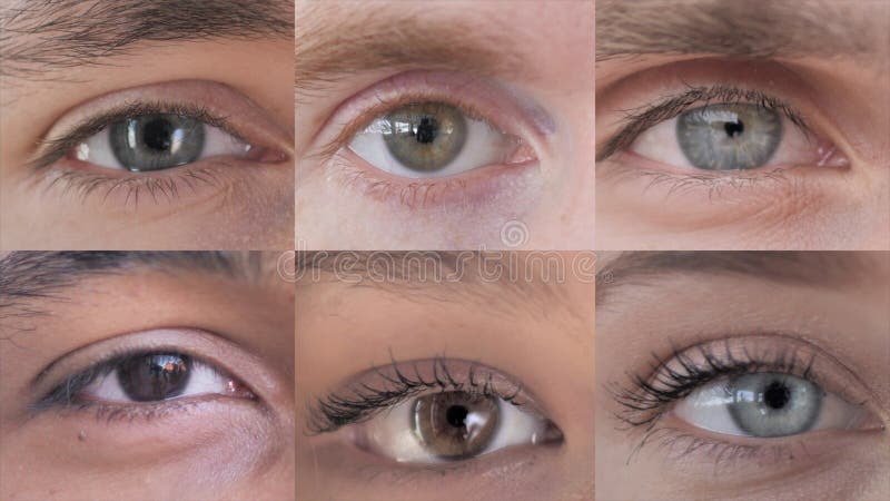 The Collage of Blinking Eye, Close Up Stock Photo - Image of stare ...