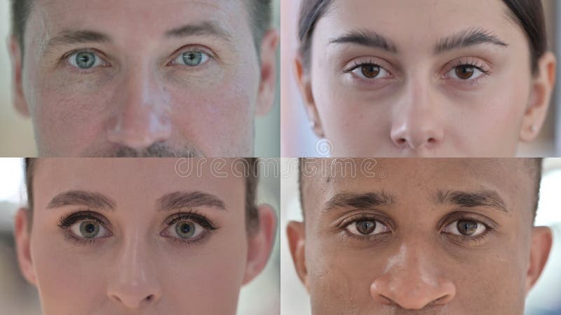 Collage of Blinking Eyes of People Stock Photo - Image of partners ...