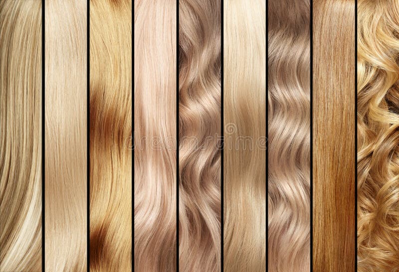 Collage of Blonde Hair Color Samples Stock Image - Image of collage ...