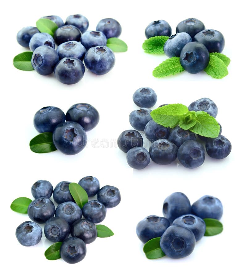 Collage of blueberries stock image. Image of object, diet - 26983521