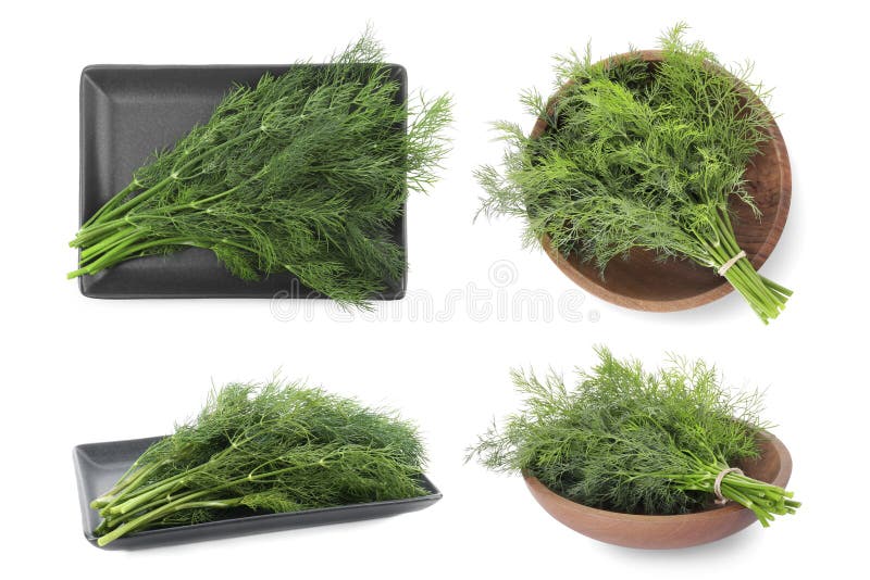 Collage with Bunches of Fresh Dill Isolated on White, Top and Side ...