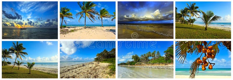 Collage coast Diani stock image. Image of diani, indian - 78013901
