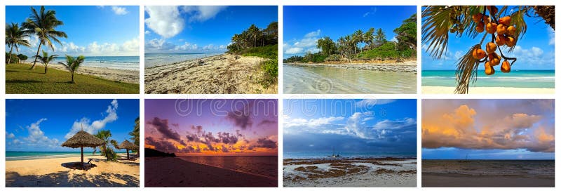 Collage coast Diani stock image. Image of kenya, african - 78014569