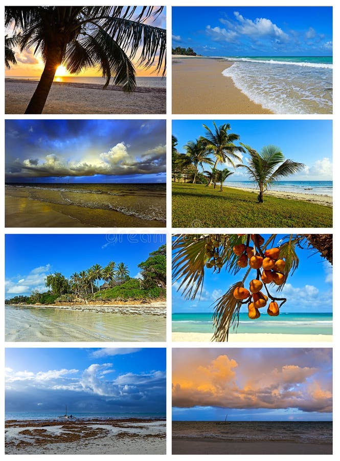 Collage coast Diani stock image. Image of vacation, diani - 79323859