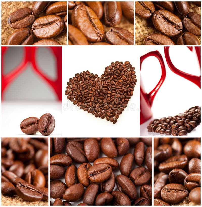 Collage of coffee beans stock image. Image of group, collection - 18099875