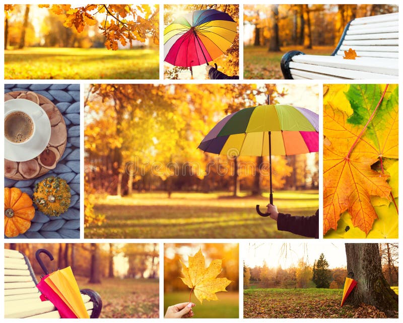 Collage with Colorful Autumn Images in Park Stock Image - Image of ...