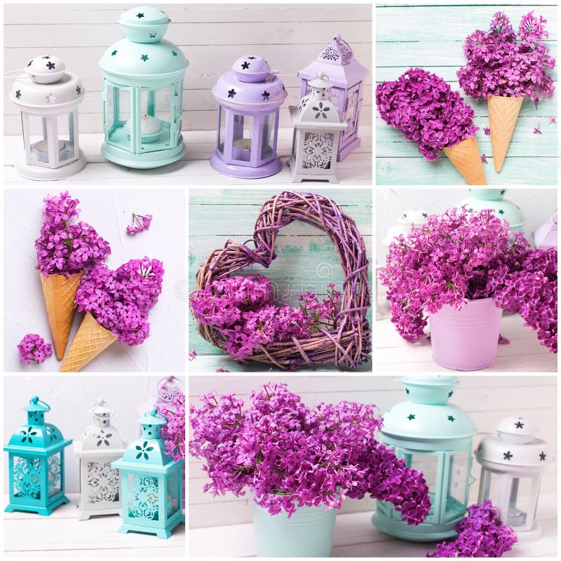Collage Con Las Flores Violetas De La Lila Imagen de archivo - Imagen ...