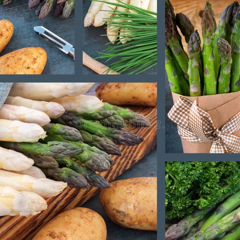 Collage Con Las Verduras Sanas Imagen de archivo - Imagen de estacional ...