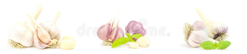 Collage De Ajo Aislado En Blanco Foto de archivo - Imagen de aroma ...