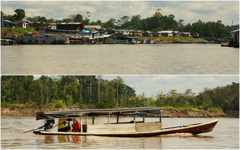 Collage De Amazonia, Perú Mis Fotos Imagen de archivo - Imagen de ...