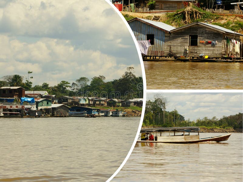 Collage De Amazonia, Perú Mis Fotos Foto de archivo - Imagen de fotos ...