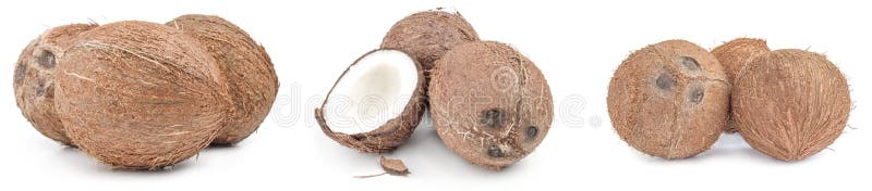 Collage De Coco Aislado En Un Fondo Blanco Imagen de archivo - Imagen ...