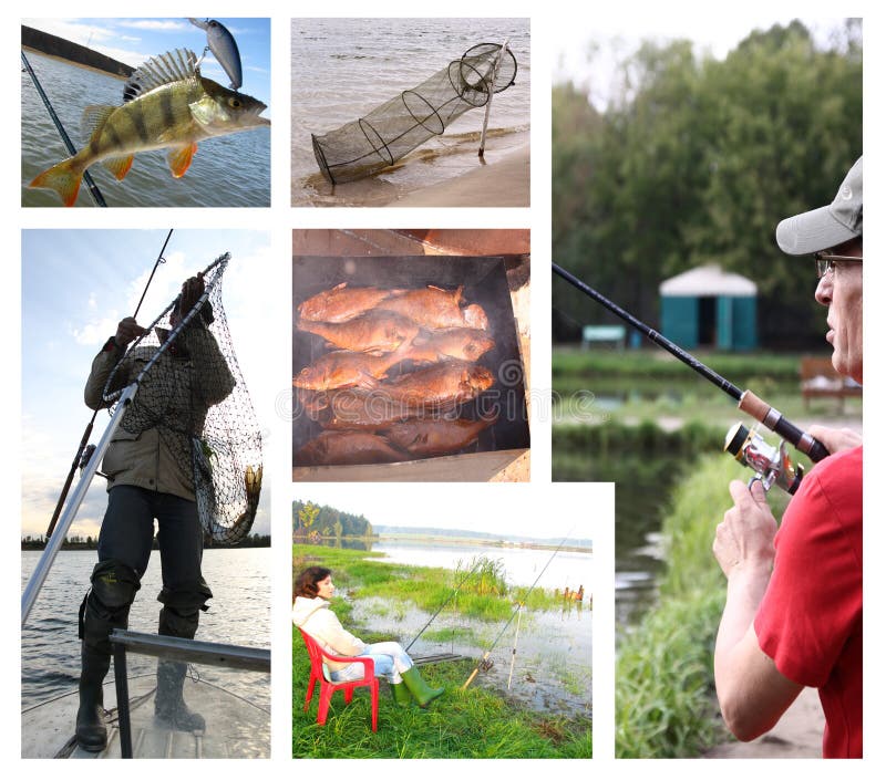 Collage De Personas Disfrutando Del Ocio De La Pesca Imagen de archivo ...