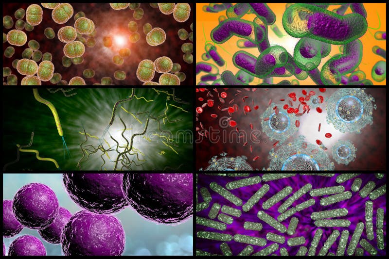 Collage De La Infección De Las Bacterias Stock de ilustración ...