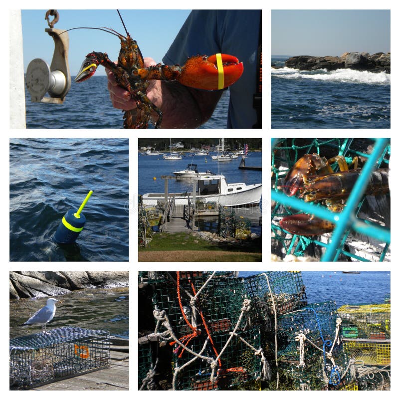 Collage de peces y pesca foto de archivo. Imagen de puerto - 16472192
