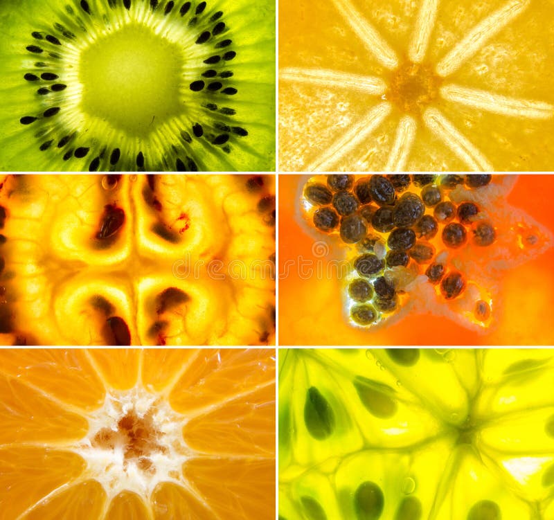 Collage De Rodajas De Fruta Iluminadas Foto de archivo - Imagen de ...