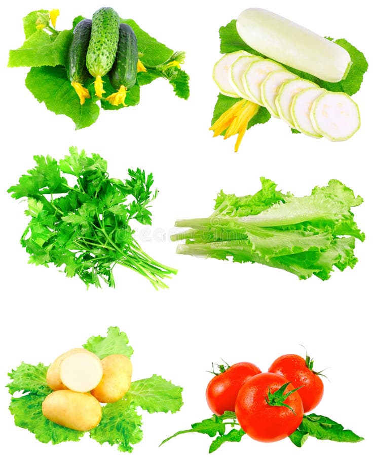 Collage De Verduras En El Fondo Blanco. Imagen de archivo - Imagen de ...