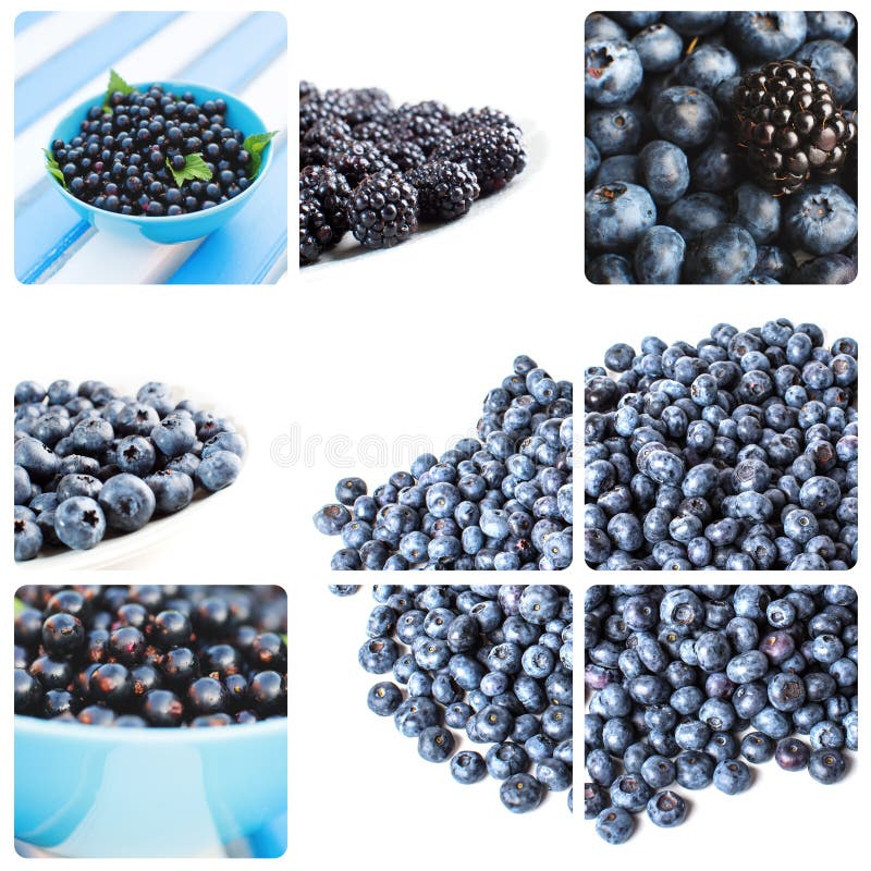 Collage of Different Blue Berries. Stock Photo - Image of close ...