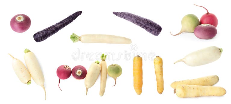 Collage with Different Carrots and Turnips on White Background. Root ...