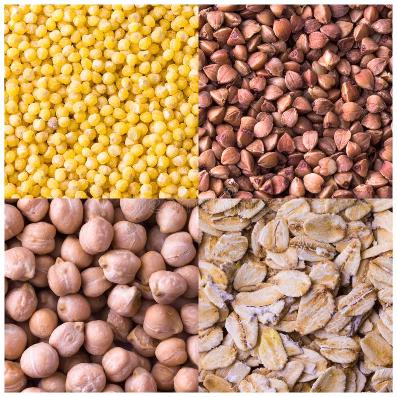 Collage of Different Crops. Grain Crops are the Basis of Life for Both ...