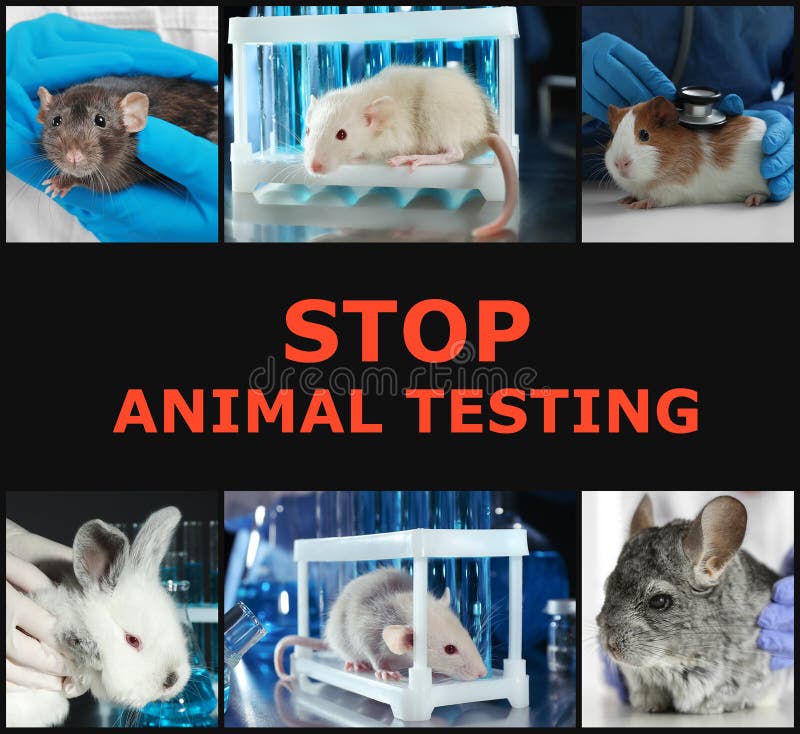 Collage with Different Photos and Text STOP ANIMAL TESTING Stock Photo ... Collage with Different Photos and Text STOP ANIMAL TESTING Stock Photo ...