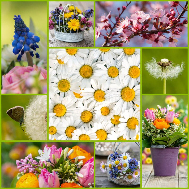 Spring collage stock image. Image of lantern, plum, purple - 28794139