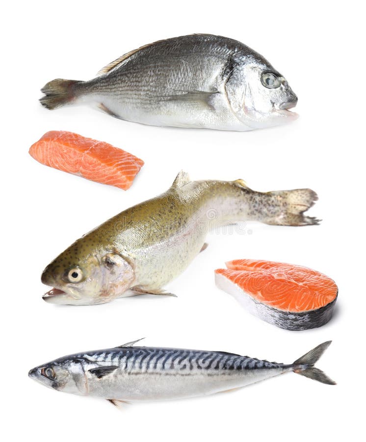 Collage with Different Types of Raw Fish on White Background Stock ...