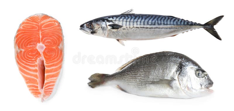 Collage with Different Types of Raw Fish on White Background Stock ...