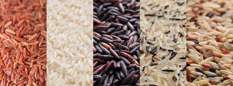 Collage with Different Types of Rice. Banner Design Stock Image - Image ...