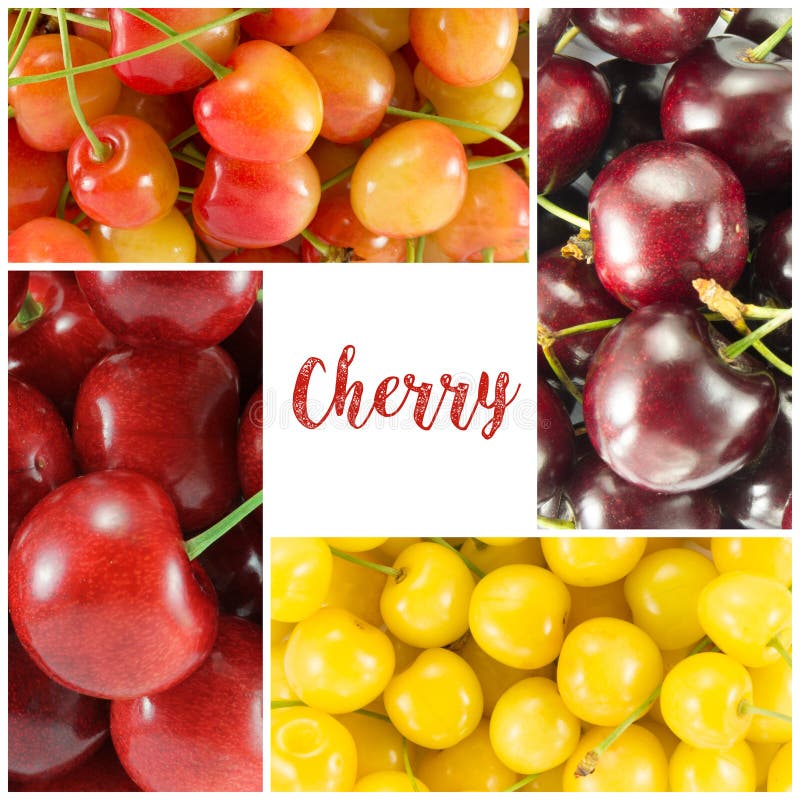 Collage from Different Varieties of Sweet Cherry Colorful - Sq Stock ...
