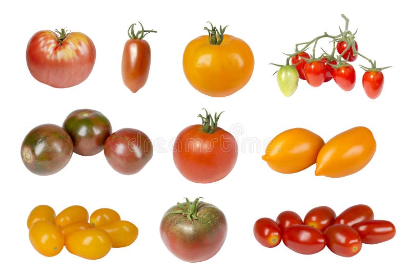 A Collage of Different Varieties of Tomatoes Stock Photo - Image of ...