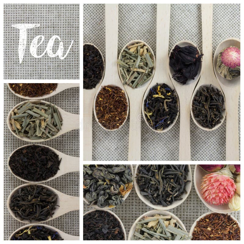Collage of Different Varieties and Types of Tea in Wooden Spoons Stock ...
