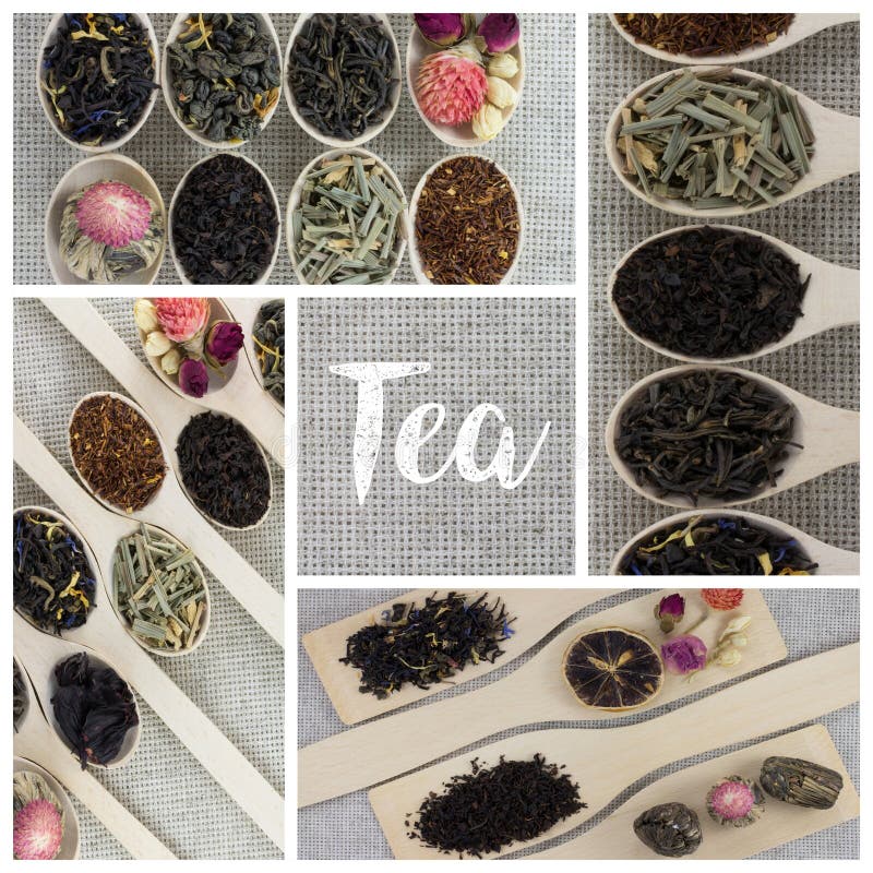 Collage of Different Varieties and Types of Tea in Wooden Spoons Stock ...