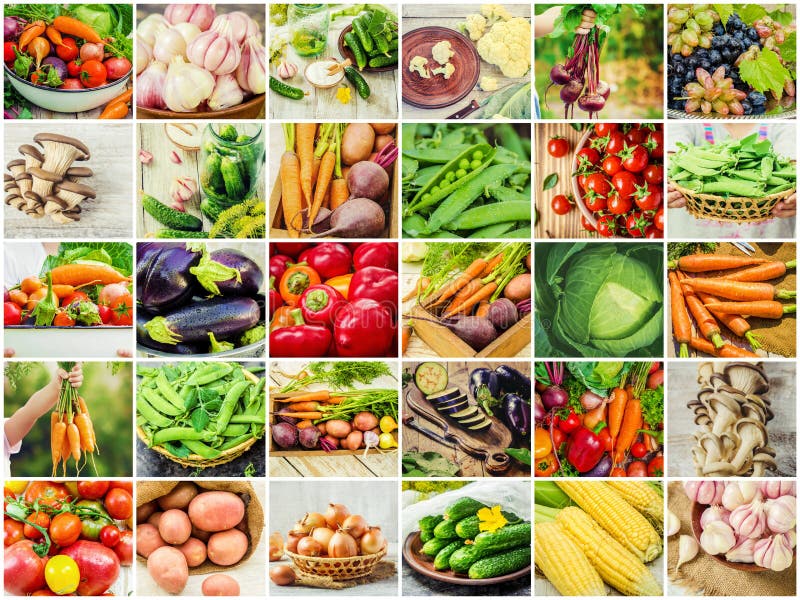 Collage of Different Vegetables. Stock Image - Image of cooking ...