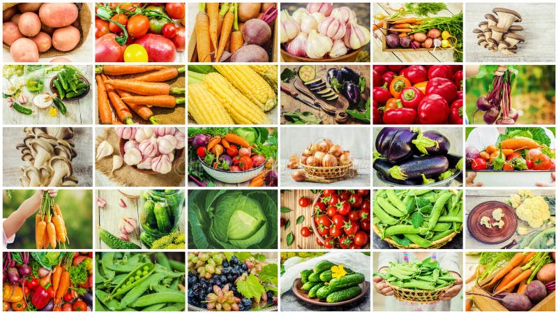 Collage of Different Vegetables. Stock Photo - Image of cucumbers ...