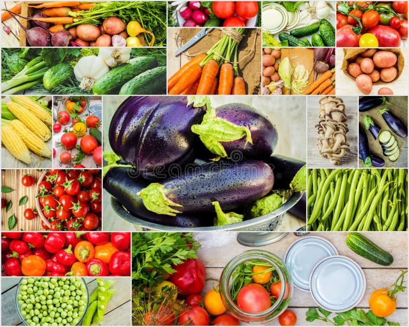 Collage of Different Vegetables. Vegetarian Food Stock Image - Image of ...