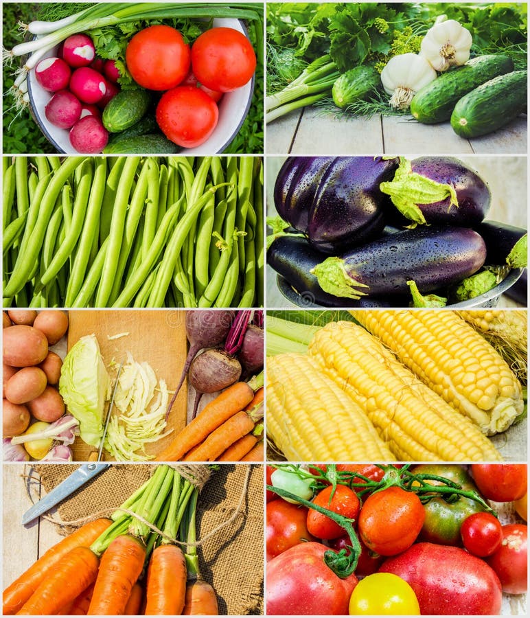 Collage of Different Vegetables. Vegetarian Food Stock Photo - Image of ...