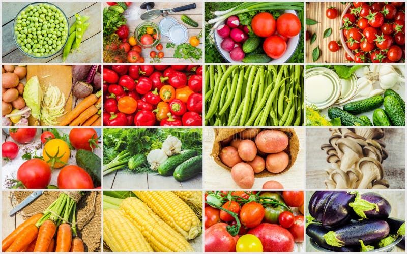 Collage of Different Vegetables. Vegetarian Food Stock Photo - Image of ...