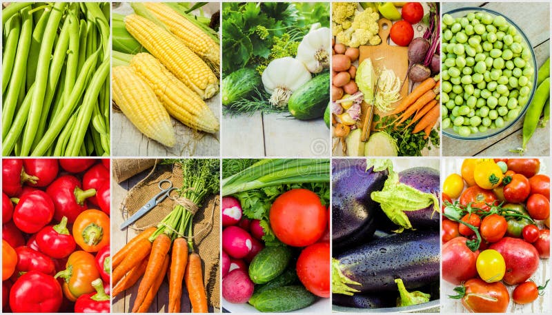 Collage of Different Vegetables. Vegetarian Food Stock Image - Image of ...