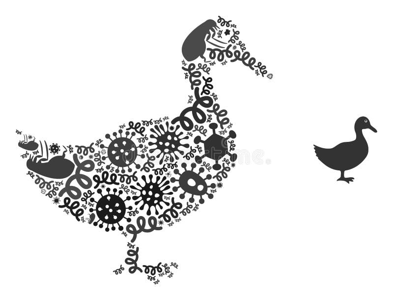 Collage Duck Icon of Infectious Microbes Stock Vector - Illustration of ...